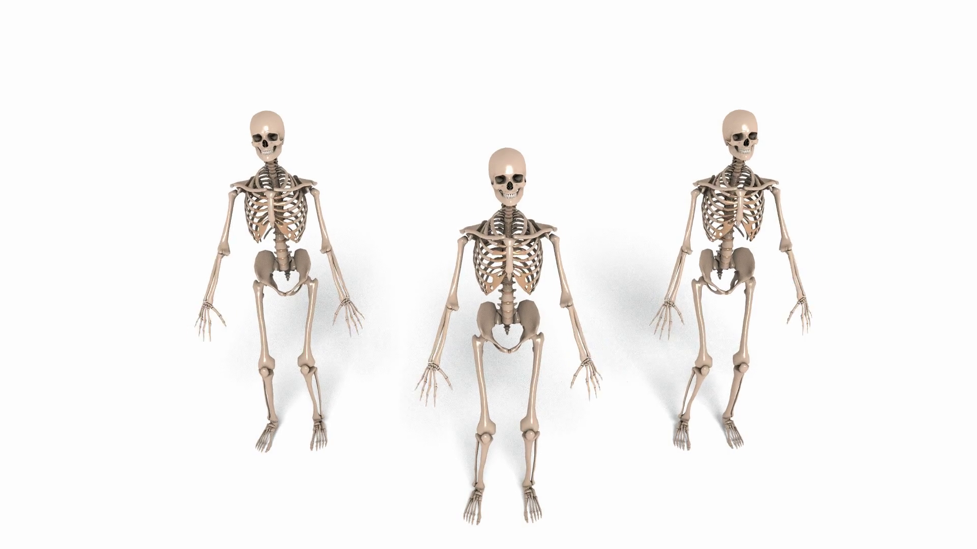 Digital Animation Of Cheerleading Skeletons Stock Motion Graphics SBV ...