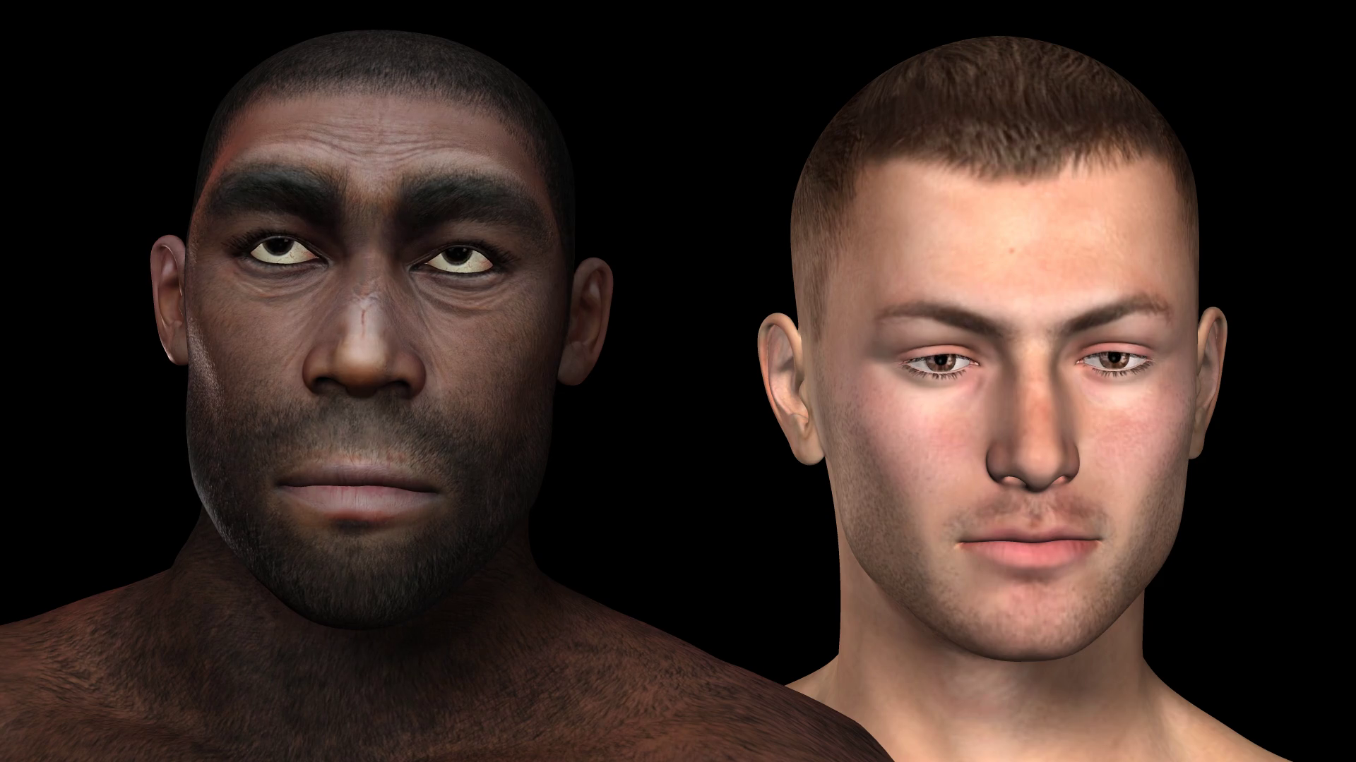 Homo Erectus Animation Stock Motion Graphics SBV-300264233 - Storyblocks