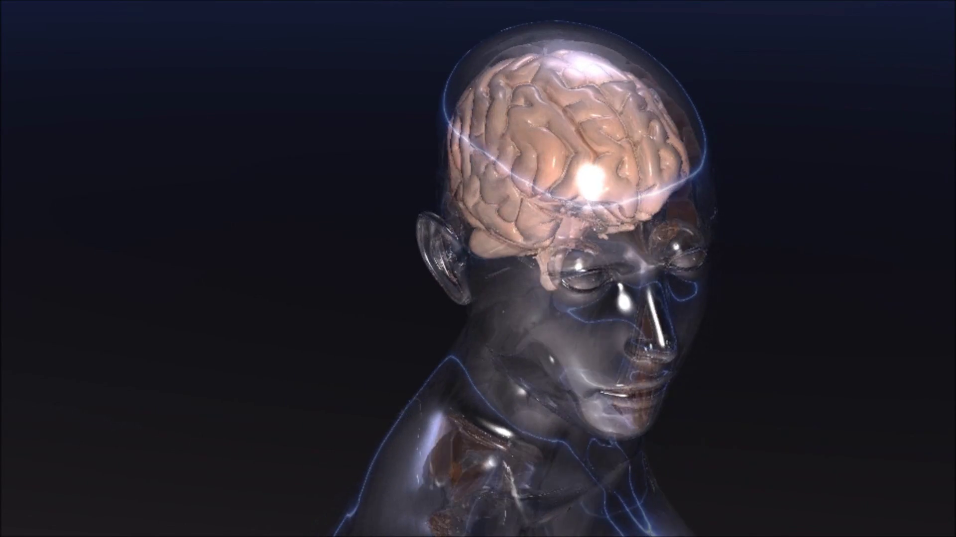 Human Brain Animation Stock Motion Graphics SBV-300248422 - Storyblocks