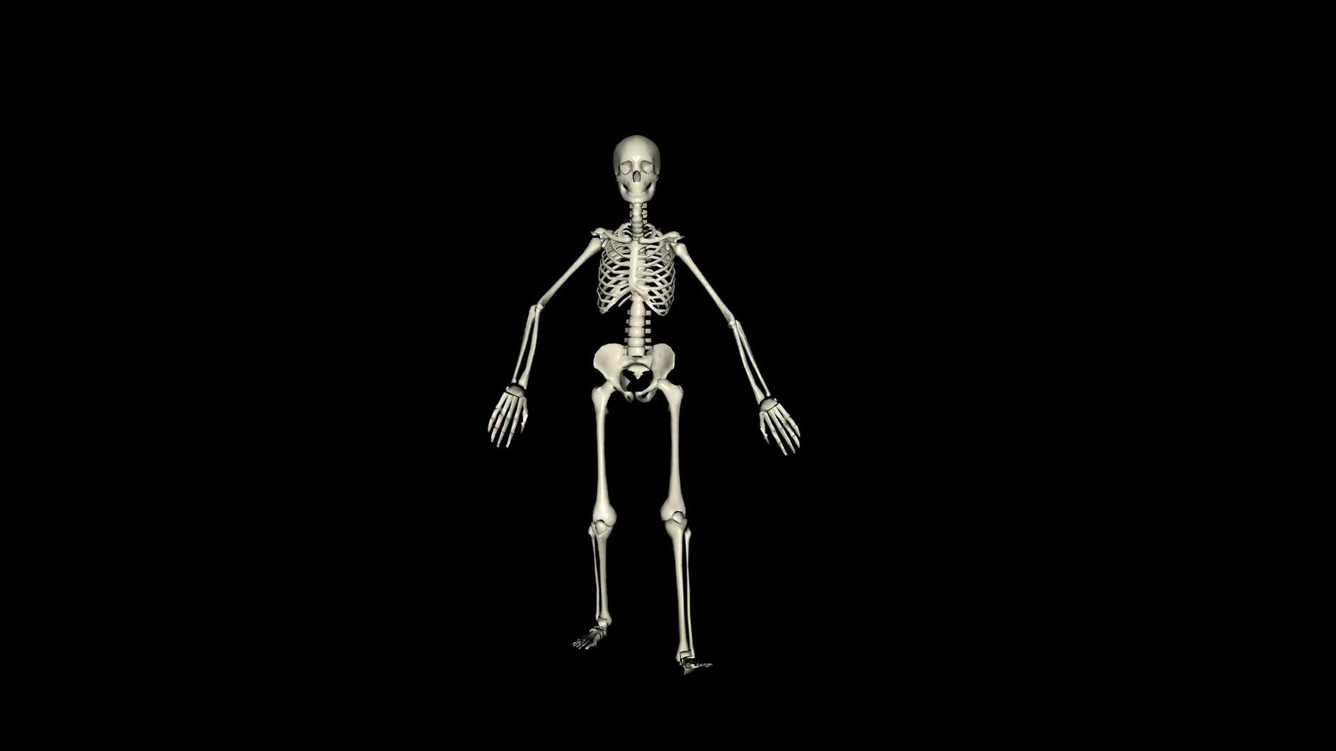 Posing Skeleton Animation Stock Motion Graphics SBV-300249072 - Storyblocks