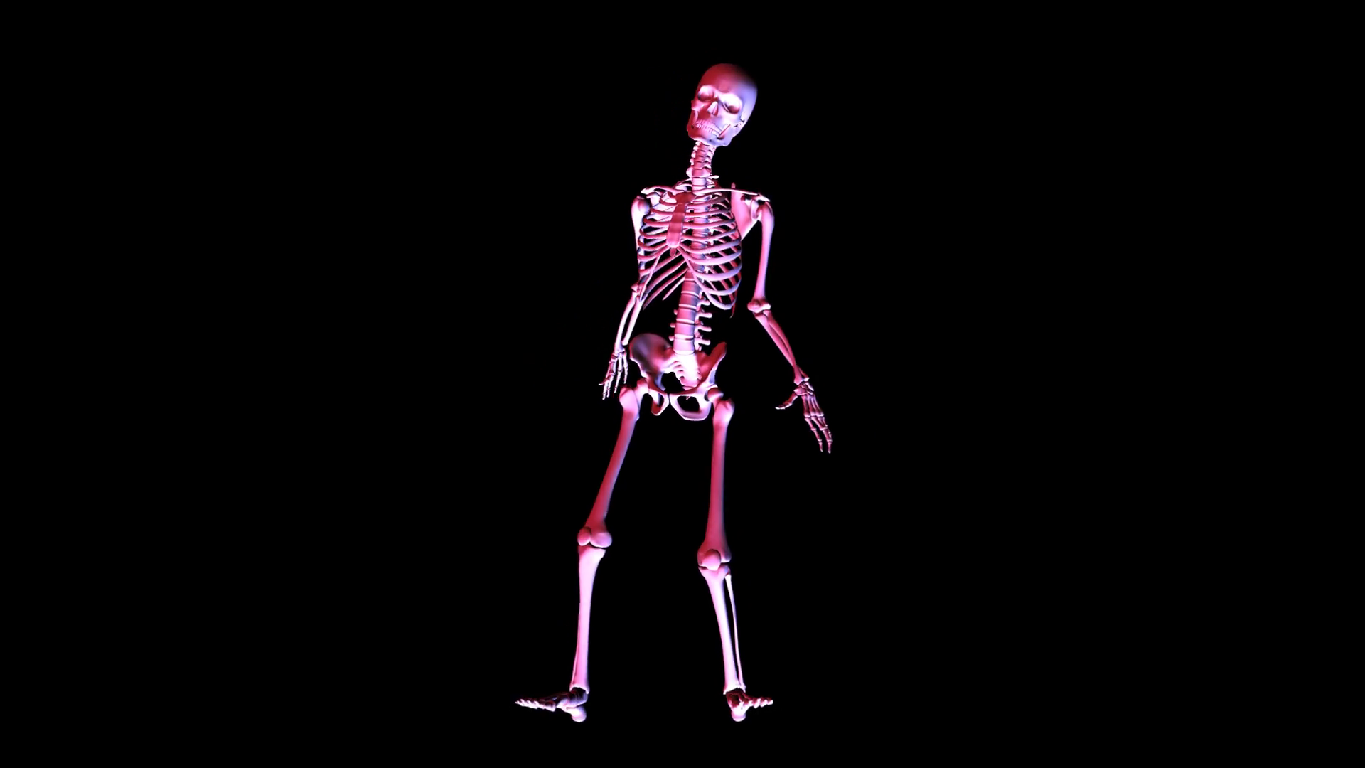 Posing Skeleton Animation Motion Background 00:14 SBV-300249067 ...