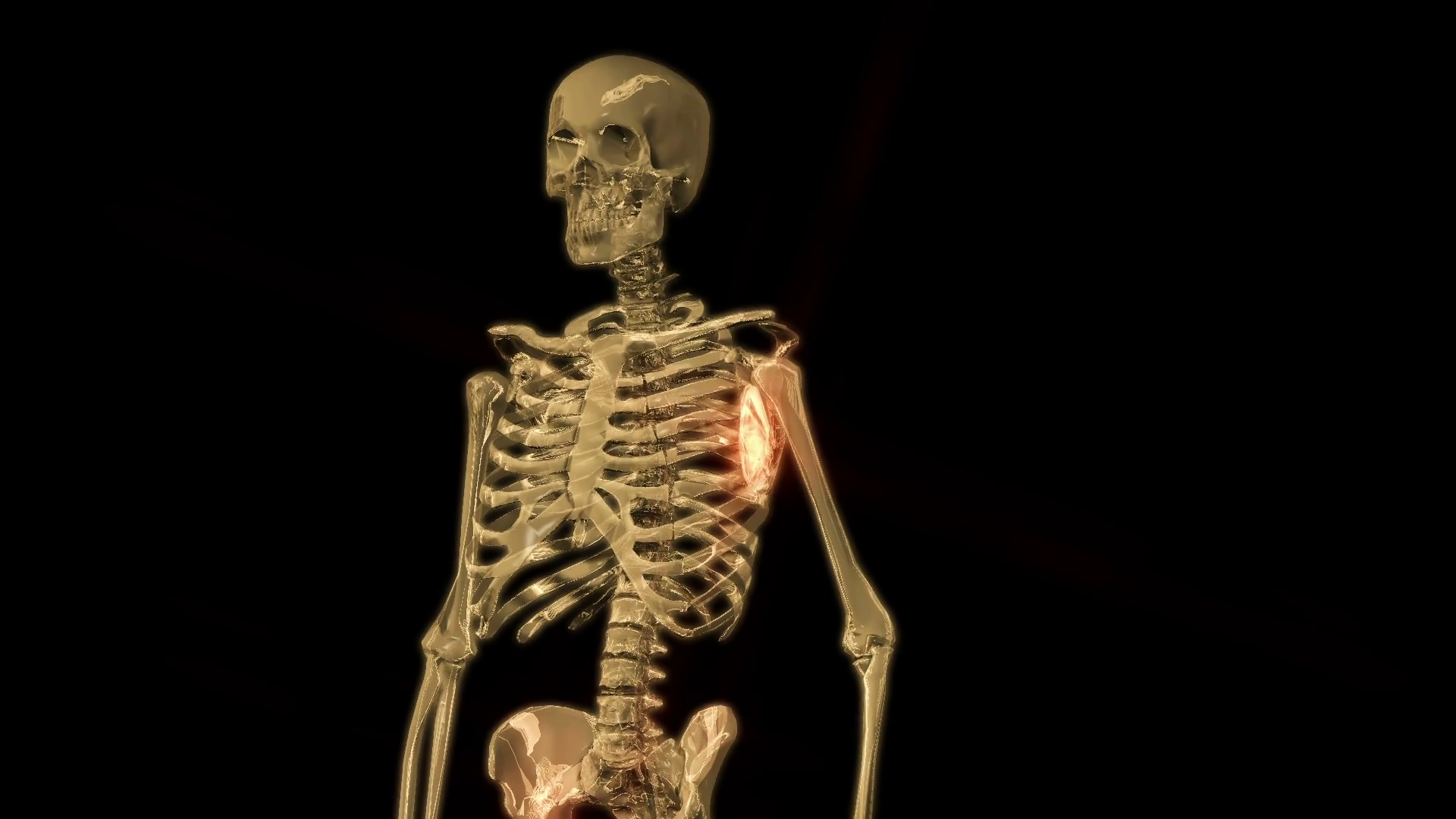 Advanced Skeleton Animation – Advanced OpenGL Animation Technique – TVHG