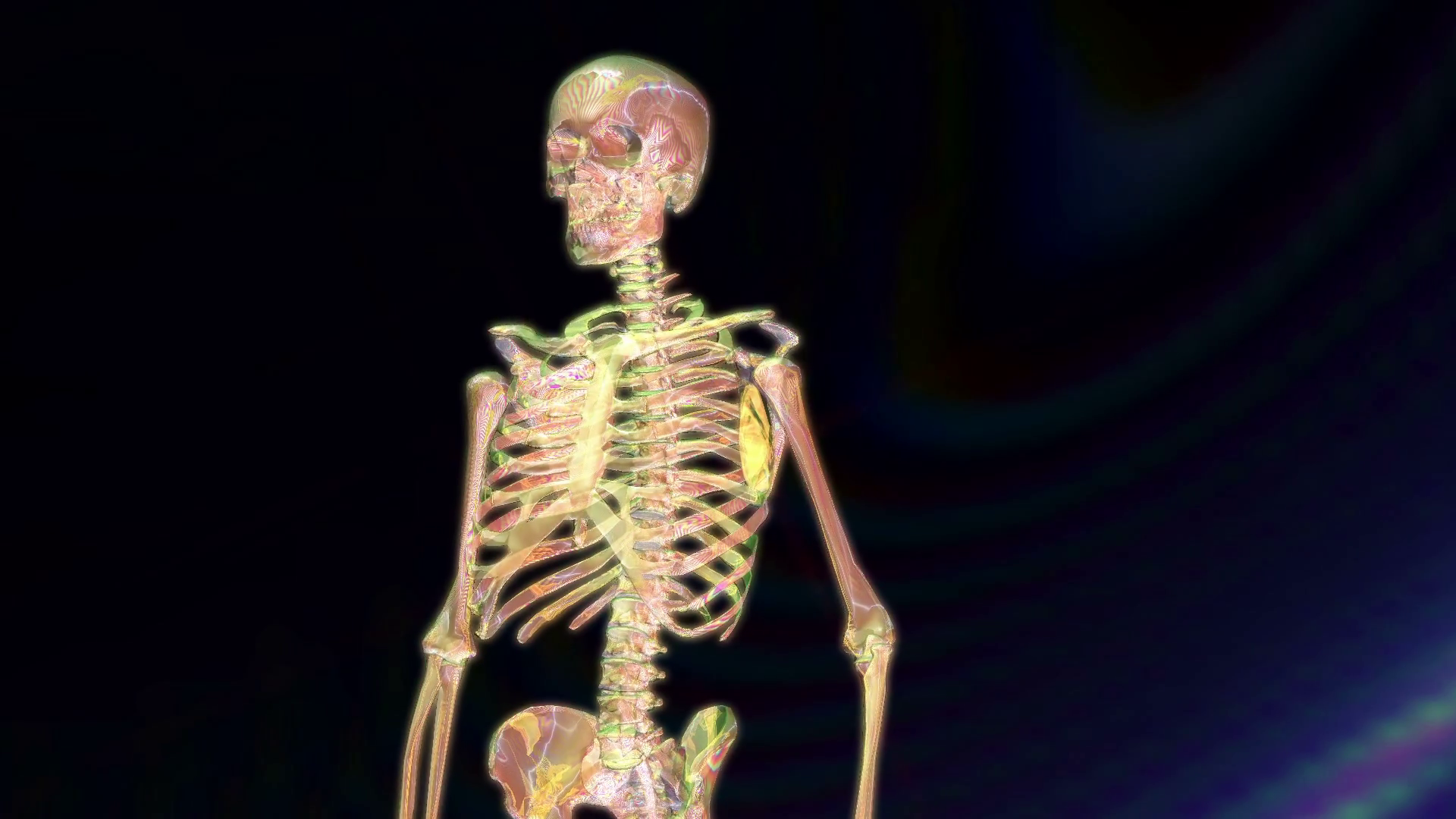 Digital 3D Animation of a human Skeleton Motion Background 00:25 SBV ...