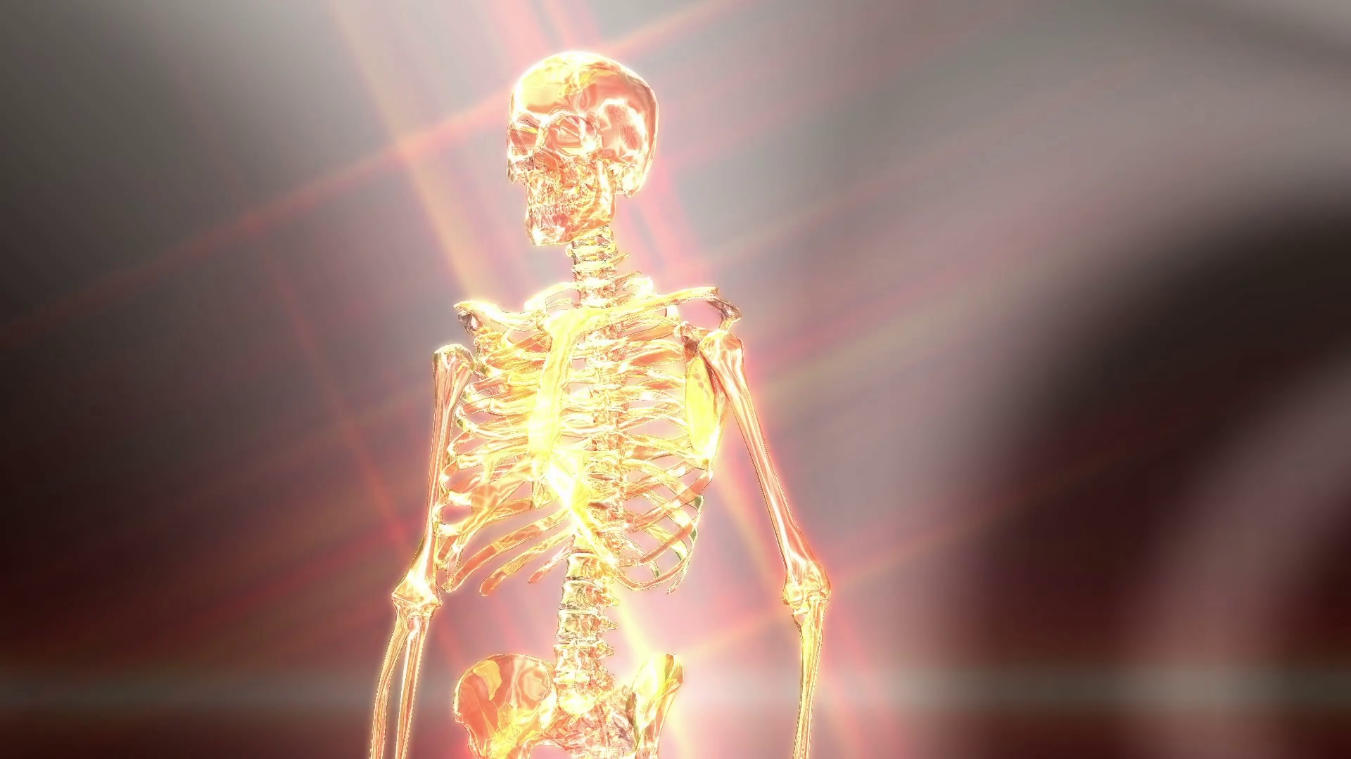 Digital 3d Animation Of Human Skeleton Stock Motion Graphics SBV ...