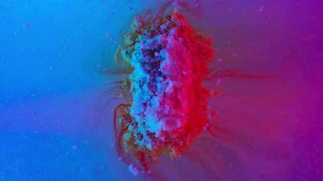 Ash Colored Stock Footage: Royalty-Free Video Clips - Storyblocks