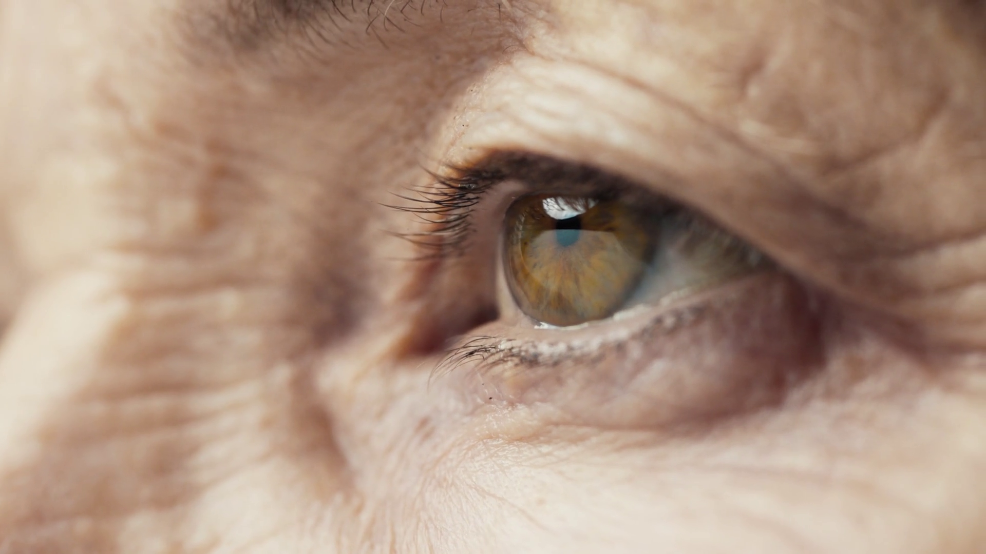Old Eye Female With Beautiful Brown Iris Stock Footage SBV-348734780 ...