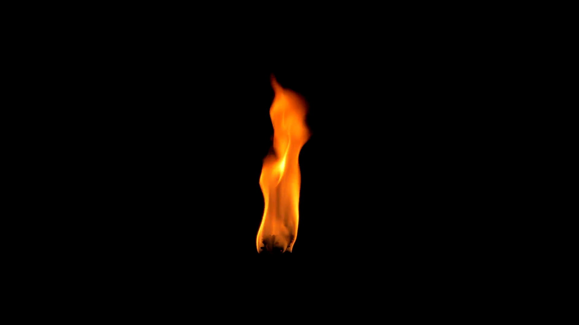 Flame Of Burning Torch In Dark Flaming Torch Stock Footage SBV ...