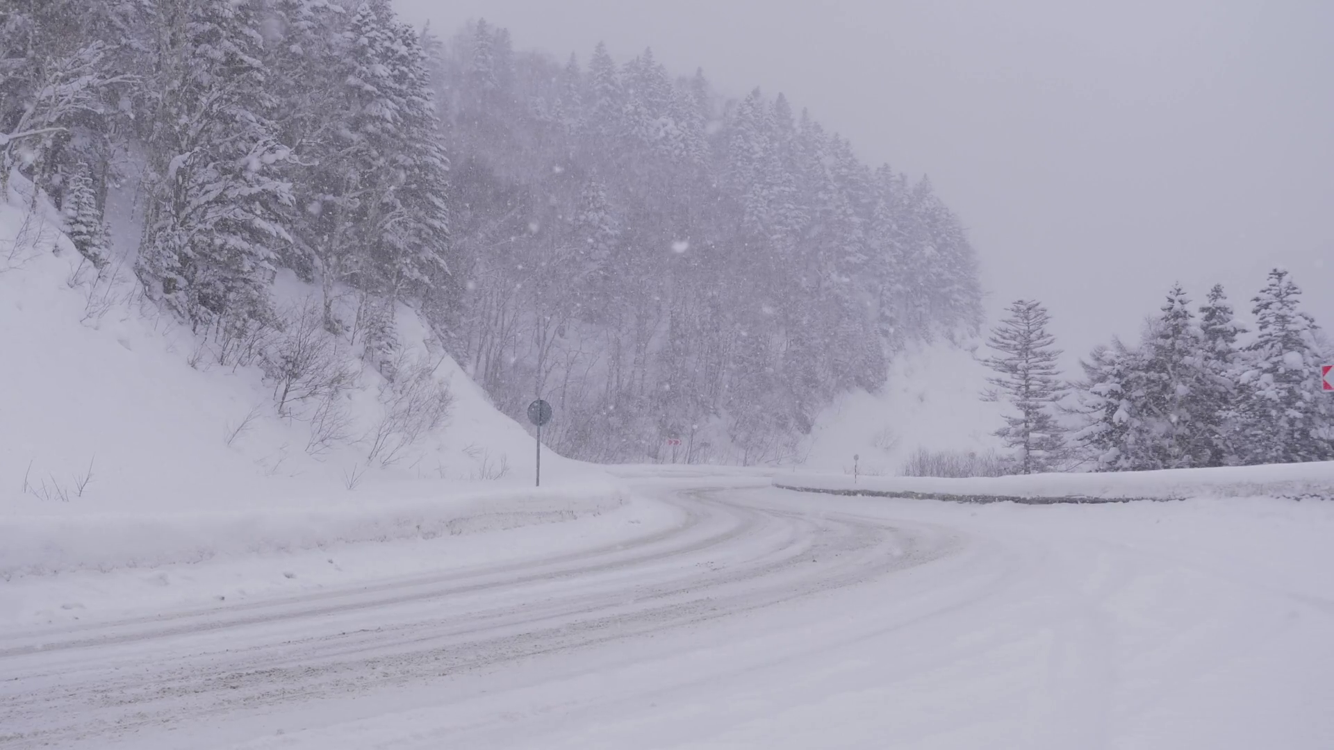 Extensive Snowfall Moving Across Countryside Stock Footage SBV ...
