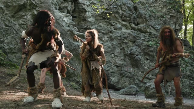 Evolution Of Life Stock Footage: Royalty-Free Video Clips - Storyblocks