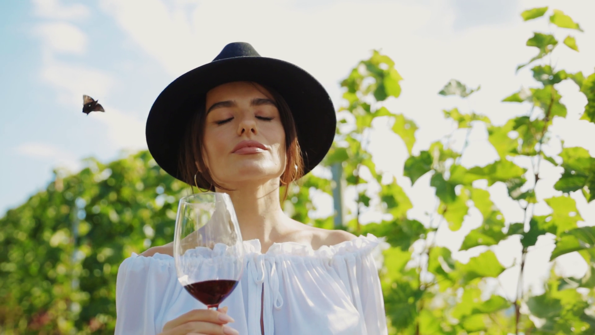 Indulging In Exquisite Wine Experience Stock Footage SBV-351904475 ...
