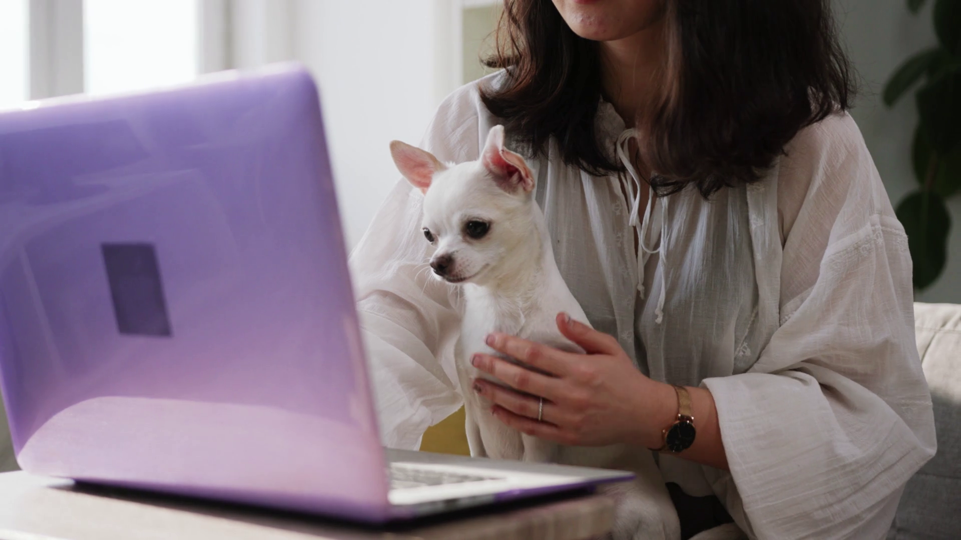 Pretty Little Dog Sitting Near Young Woman Stock Footage SBV-351951665 ...