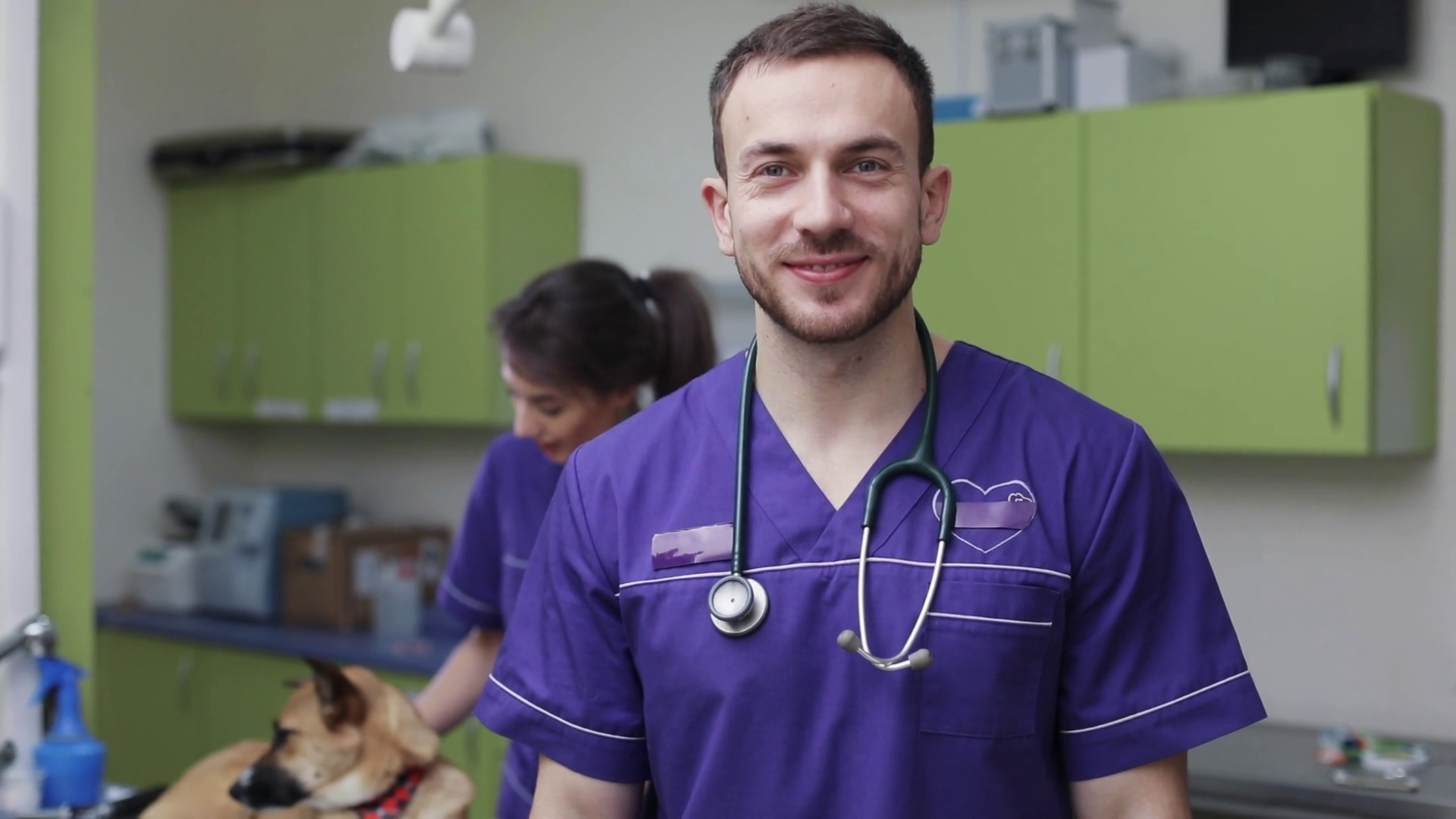 Portrait Vet Man Look At Camera Smiling Stock Footage SBV-351979601 ...