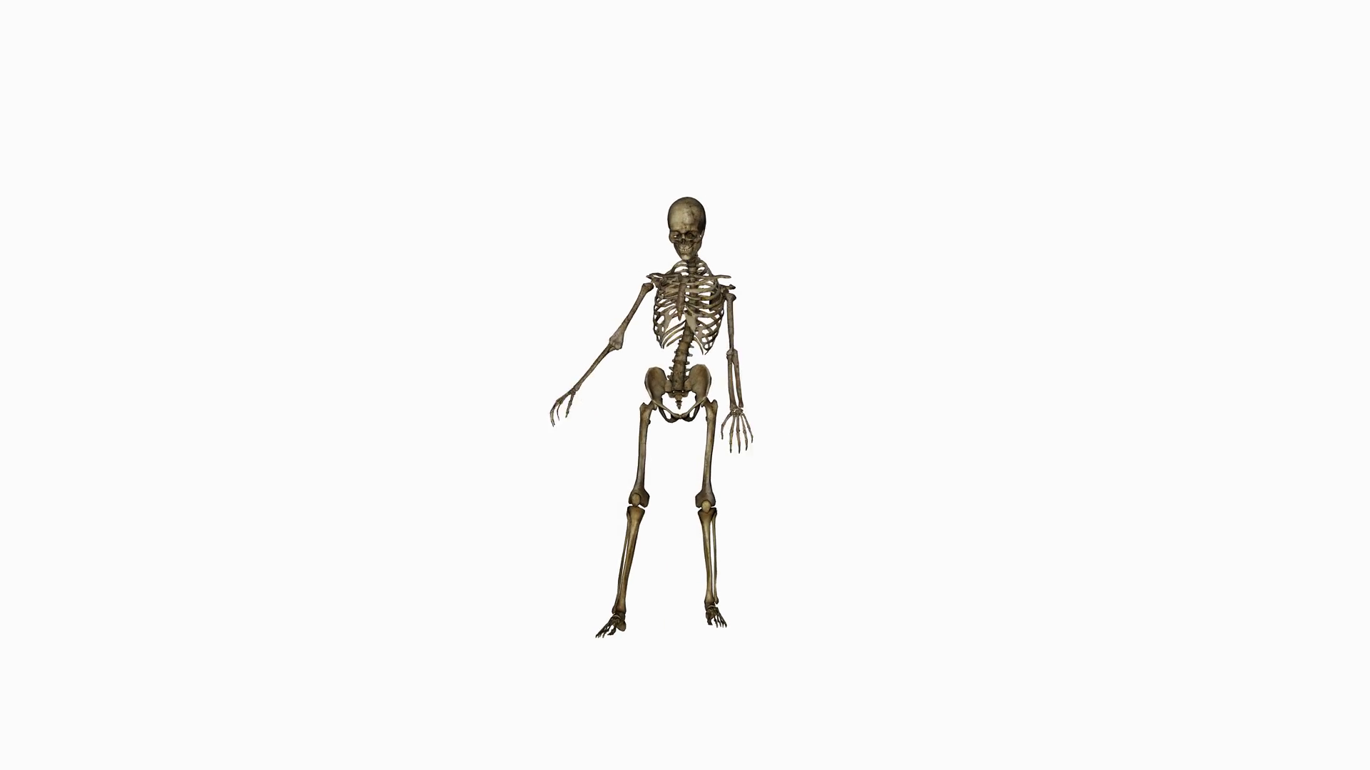 Skeleton Funny Dance Alpha Channel Stock Motion Graphics SBV-305715904 ...