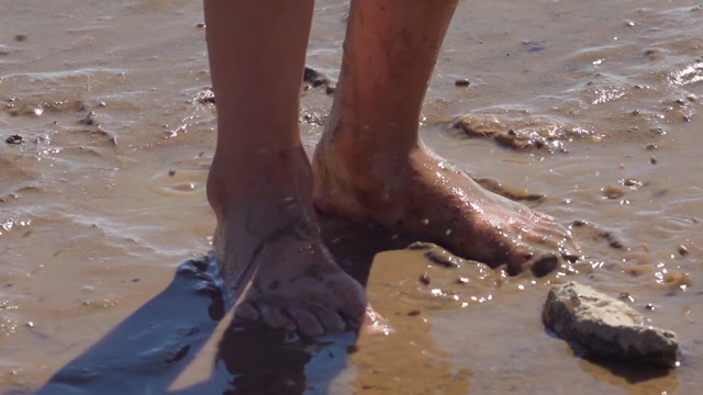 Mud Stick Stock Footage: Royalty-Free Video Clips - Storyblocks