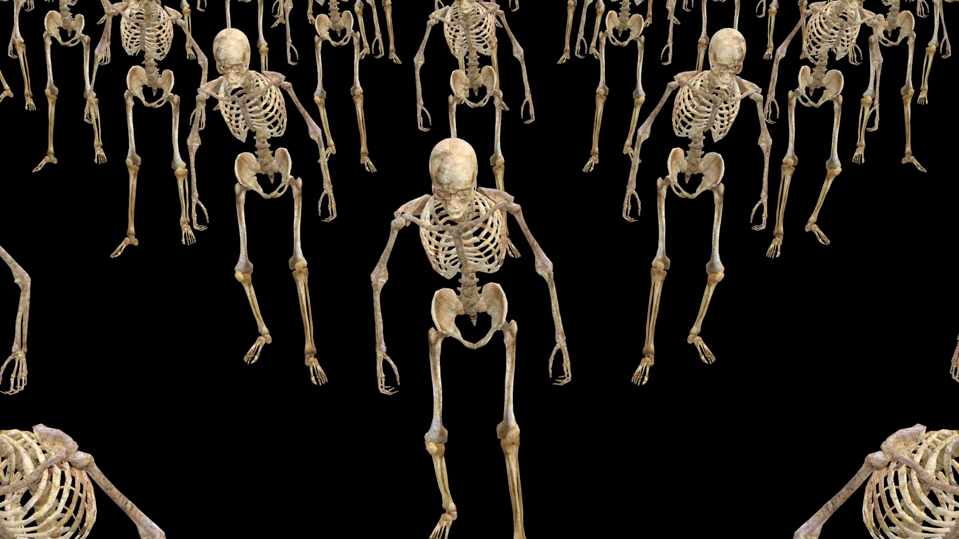 Skeleton Crowd Of Skeletons Are Walking Stock Motion Graphics SBV ...