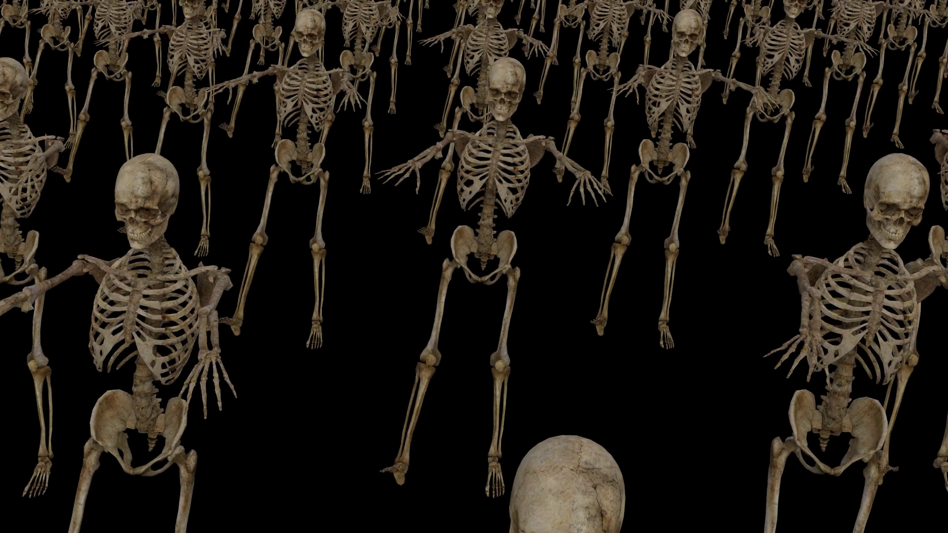 Skeleton Crowd Of Skeletons Moves Forward Stock Motion Graphics SBV ...