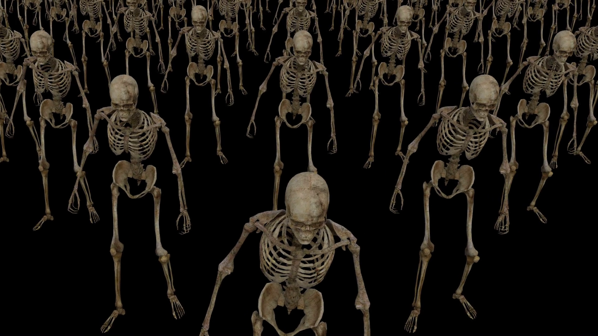 Skeleton Crowd Of Skeletons Moves Forward Stock Motion Graphics SBV ...