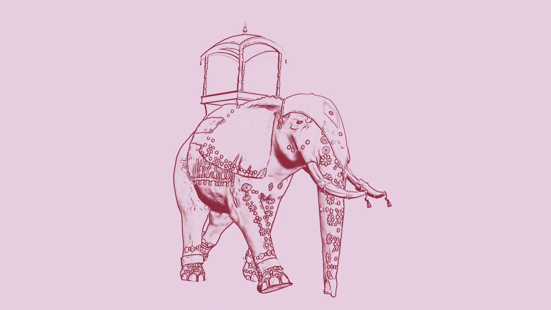 Elephant Walking Loop Stock Motion Graphics SBV-321321868 - Storyblocks