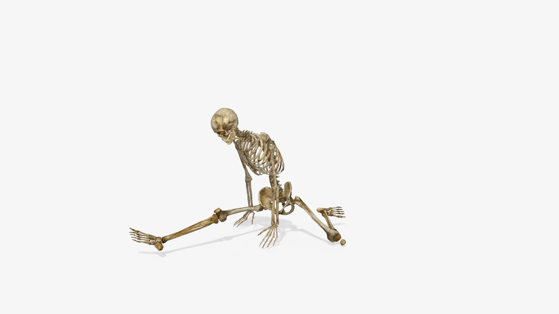 Skeleton Dances Breakdance, loop,animation,transparent background ...