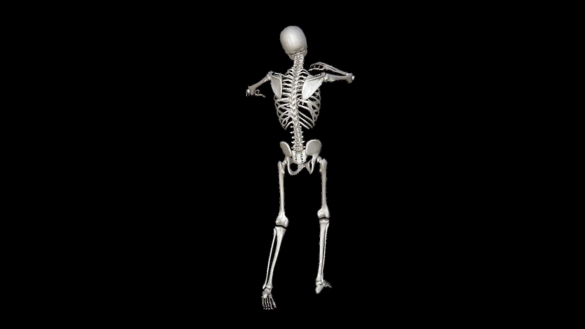 Skeleton Goes Back View Alpha Channel Stock Motion Graphics SBV ...