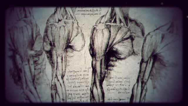 Medical Intro Templates Royalty-Free - Storyblocks