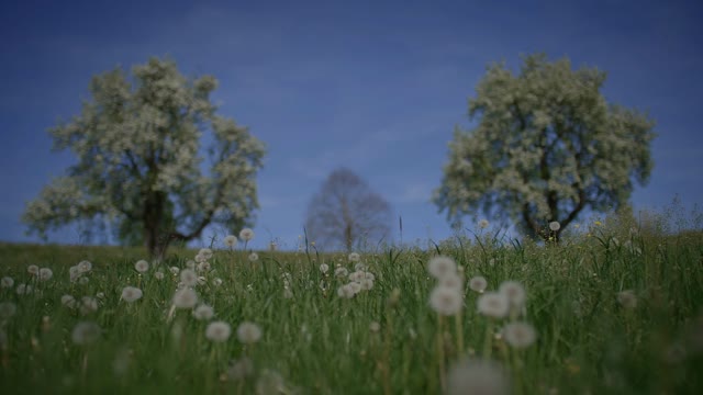 Fragile Scene Stock Footage: Royalty-Free Video Clips - Storyblocks