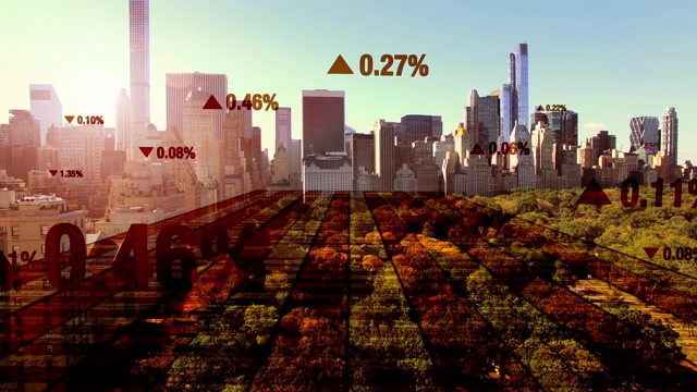 Grow City Stock Footage: Royalty-Free Video Clips - Storyblocks