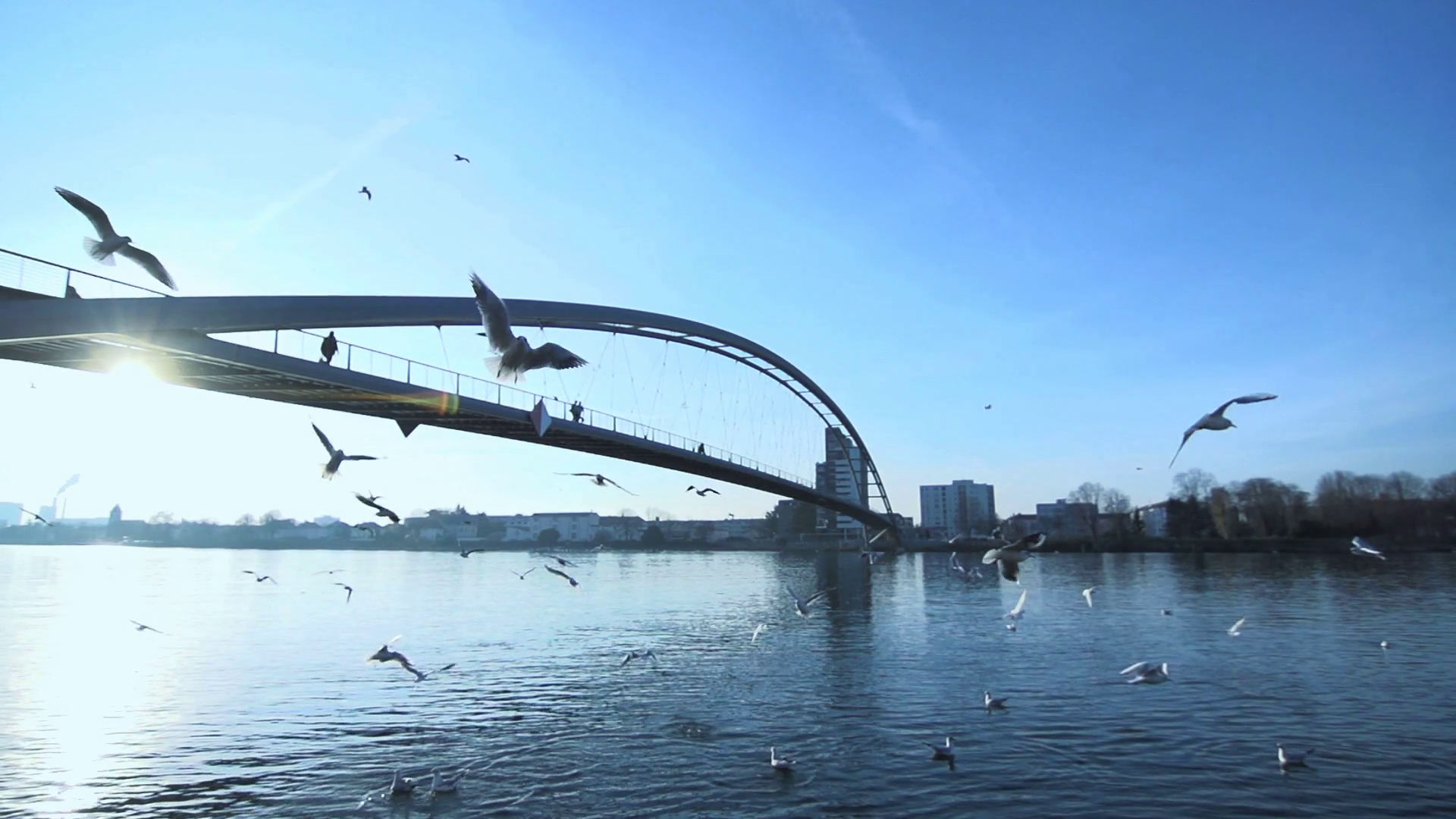 Birds Flying In Slow Motion In Lake Bridge Stock Footage SBV-348400821 ...