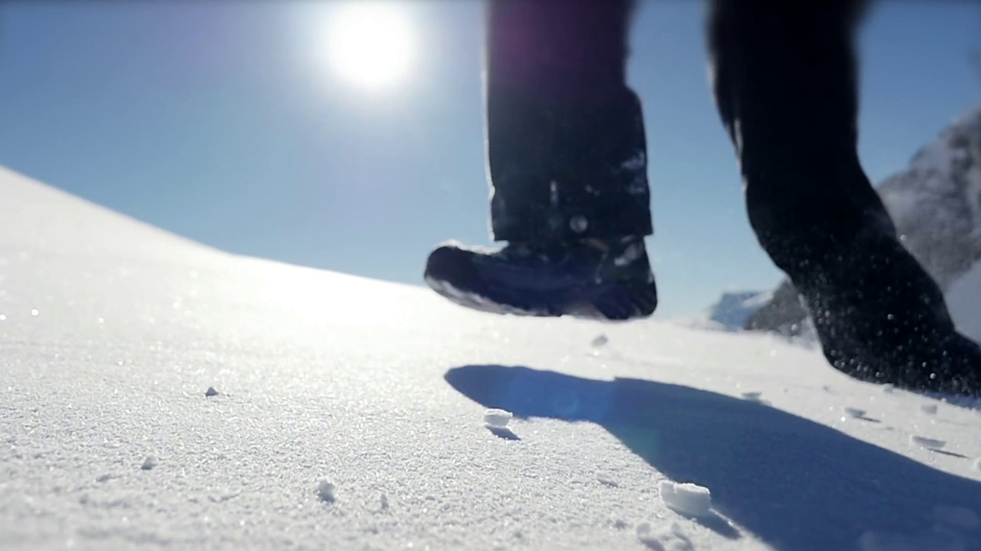 Hikers On Alpine Adventure Expedition Hiking Stock Footage SBV ...