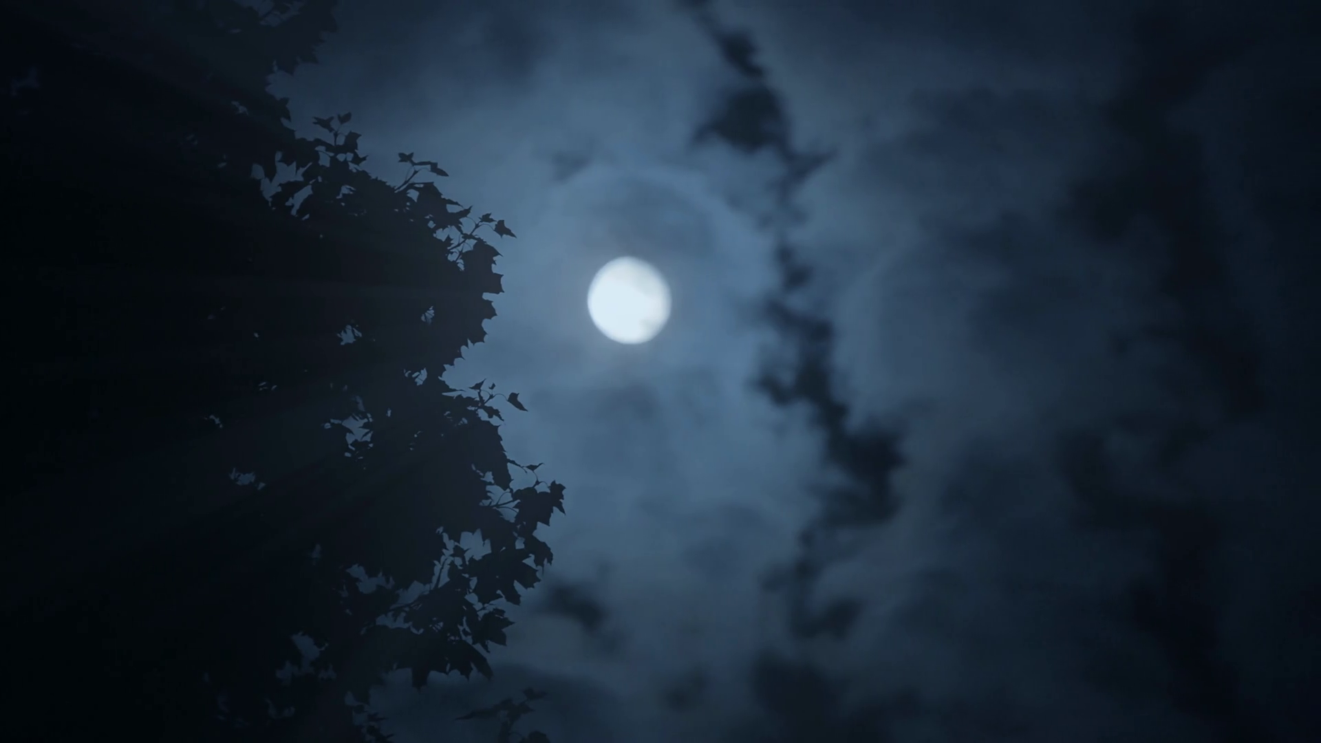 Spooky Dark Mystery Night Mood Of Full Moon Stock Footage SBV-348458283 ...