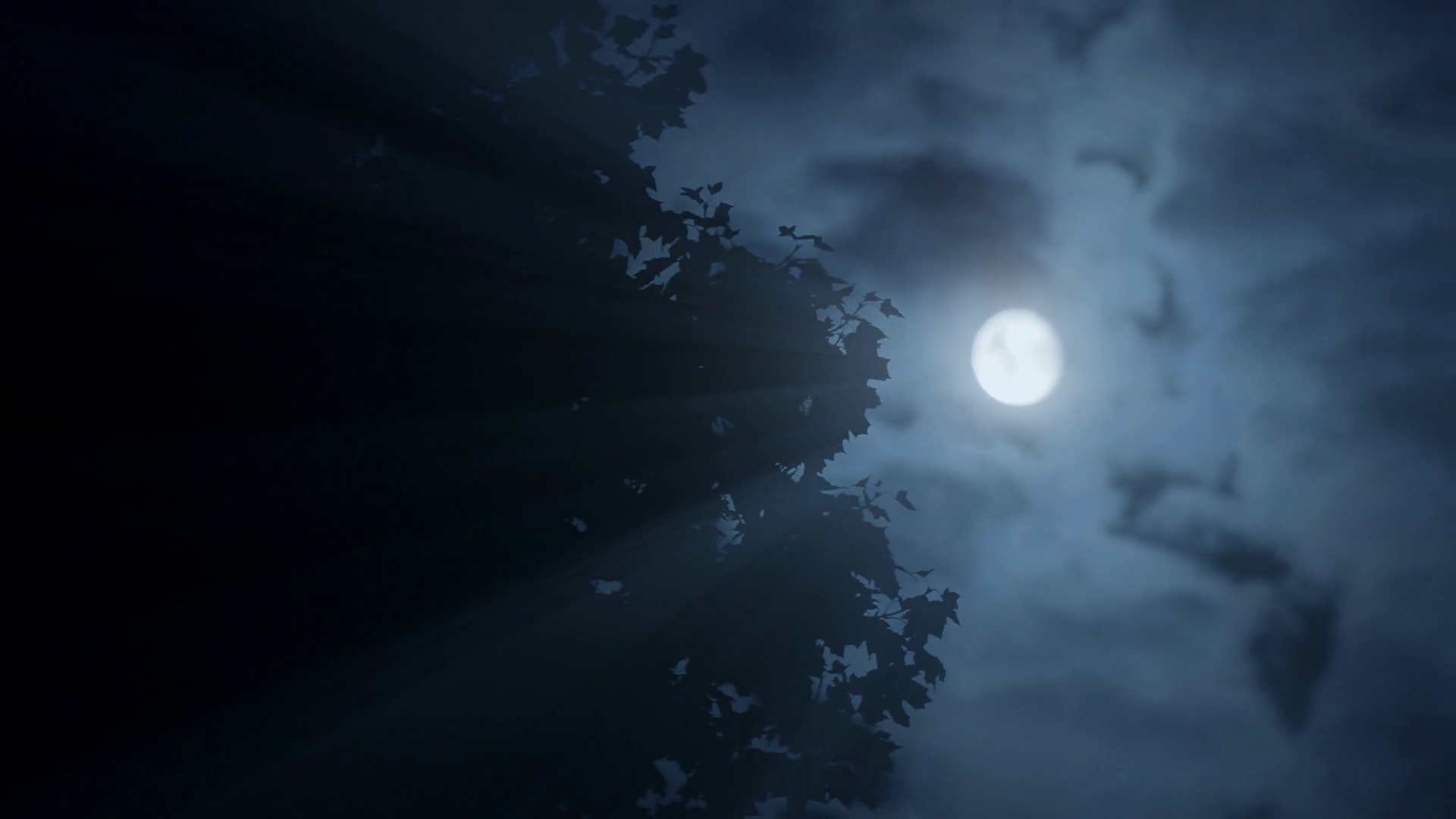 Spooky Dark Mystery Night Mood Of Full Moon Stock Footage SBV-348471521 ...