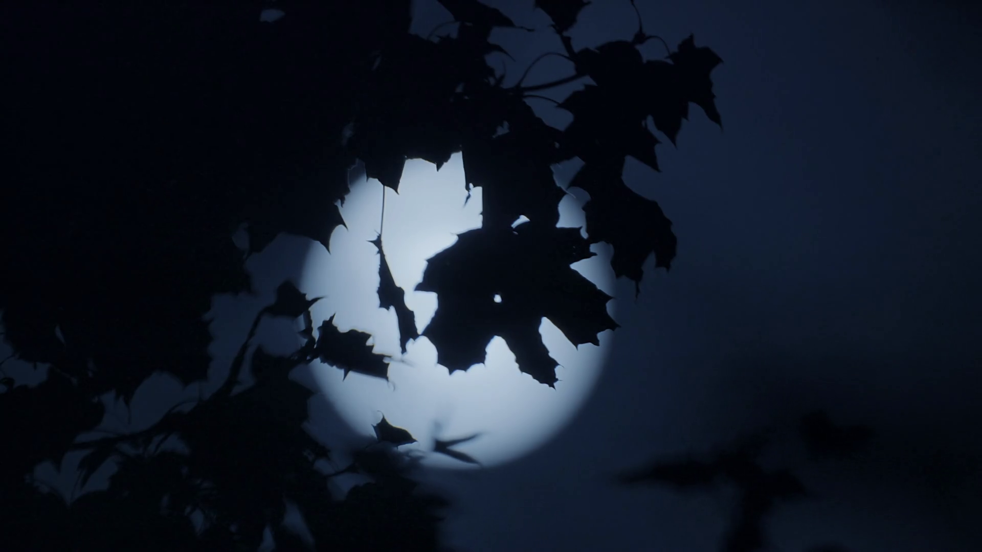 Mystical Moon Night Sky Scenery Of Stock Footage SBV-348458309 ...