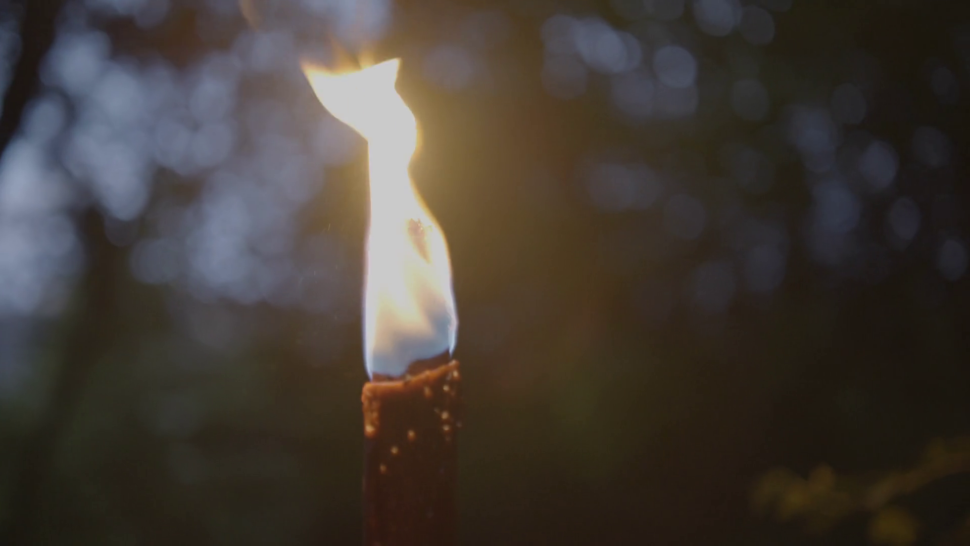 Person Holding Flaming Burning Torch Light Stock Footage SBV-348484922 ...