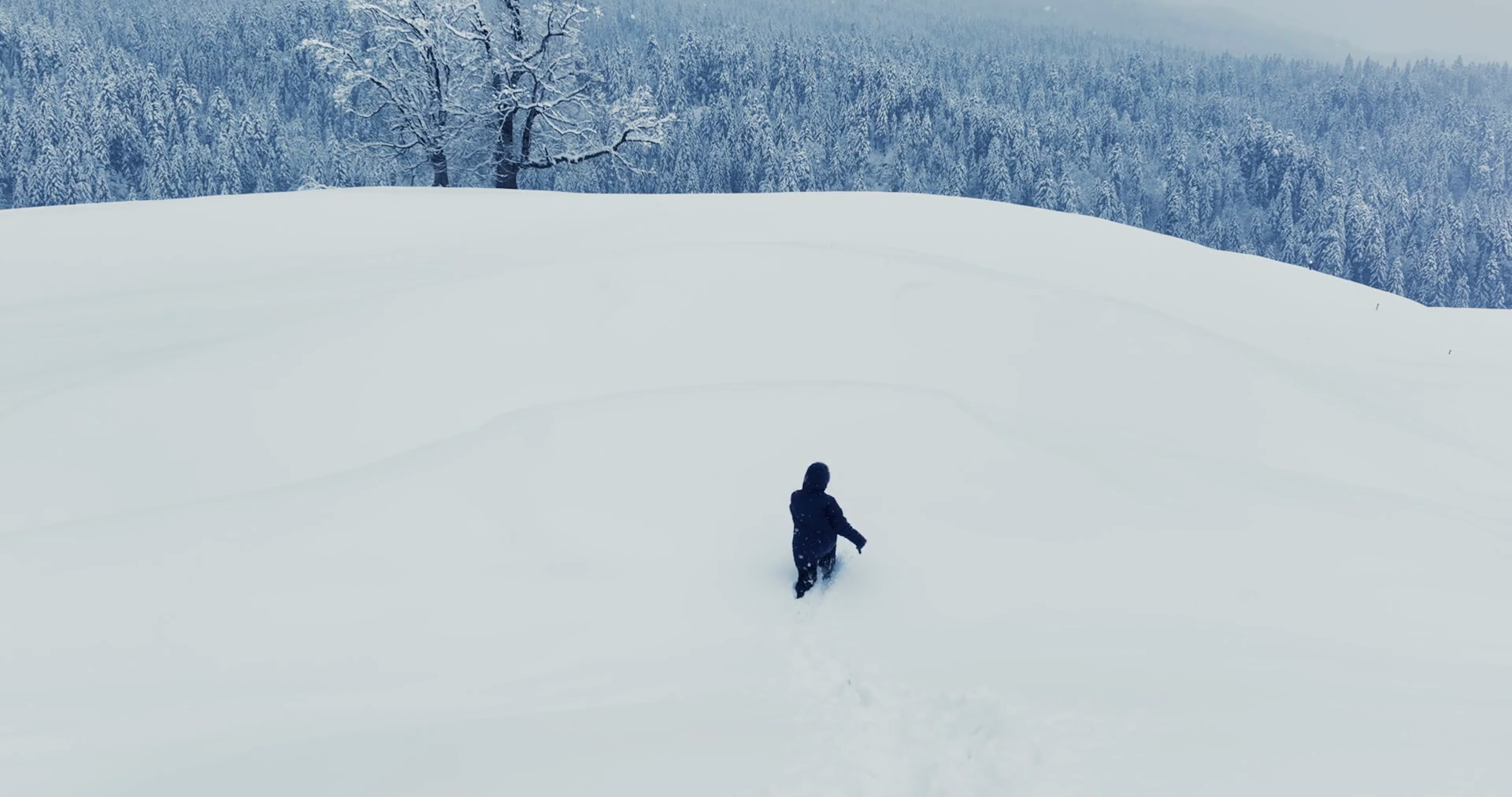 Hiker Walking In Deep Snow Outdoors In Stock Footage SBV-348489789 ...