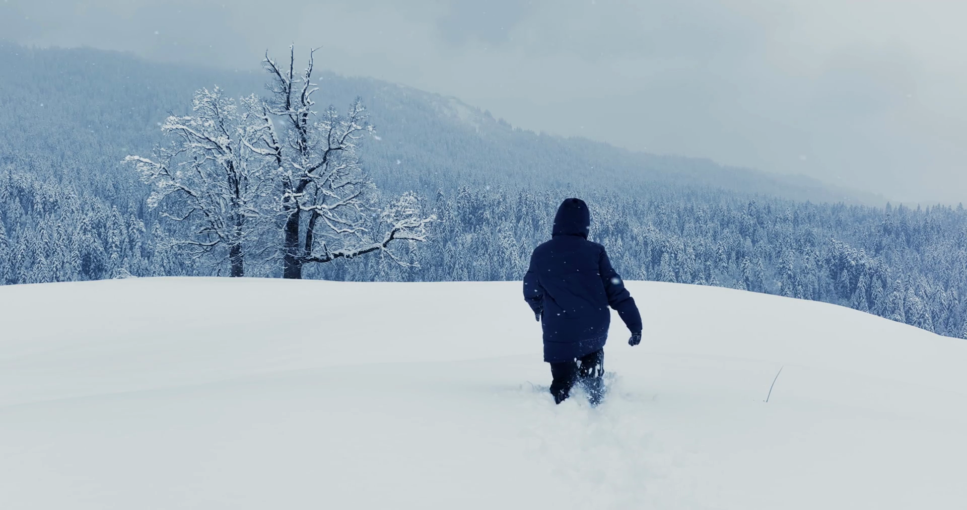 Hiker Walking In Deep Snow Outdoors In Stock Footage SBV-348832486 ...