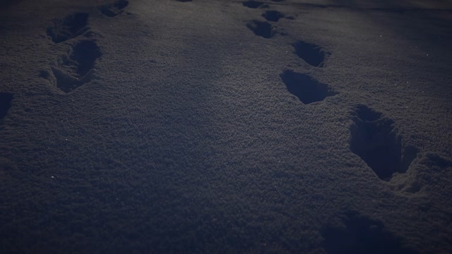 Footsteps Night Stock Footage: Royalty-Free Video Clips - Storyblocks