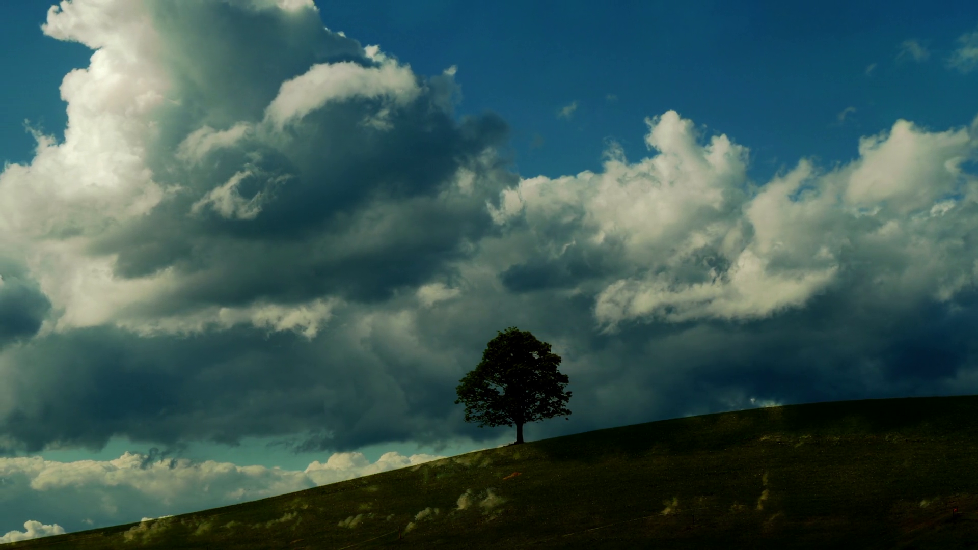 Dramatic Sky Scenery Of Storm Clouds Tree Stock Footage SBV-320414470 ...