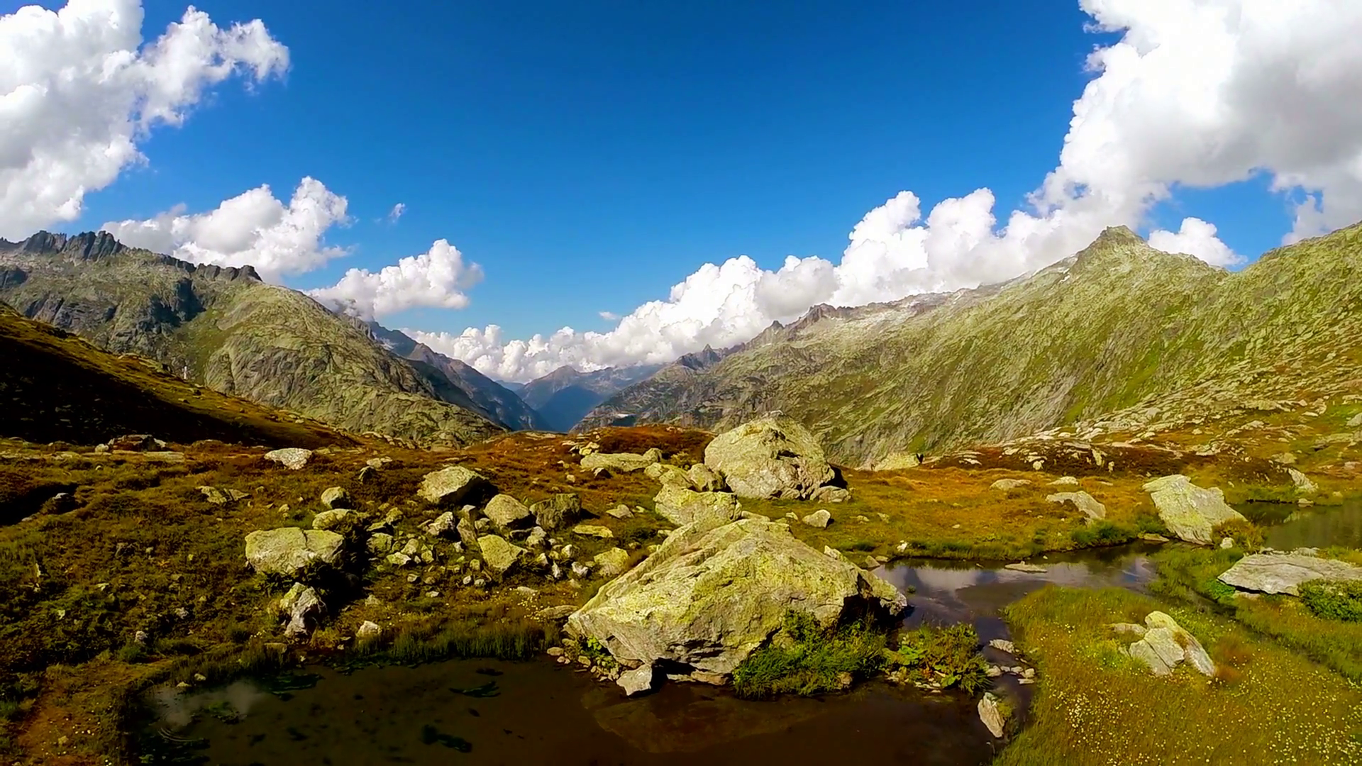 environment ecology landscape nature scenery background Stock Video ...