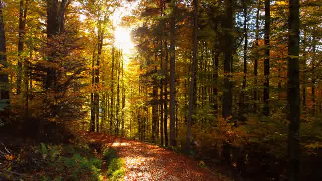 Nature Landscape Stock Footage: Royalty-Free Video Clips - Storyblocks