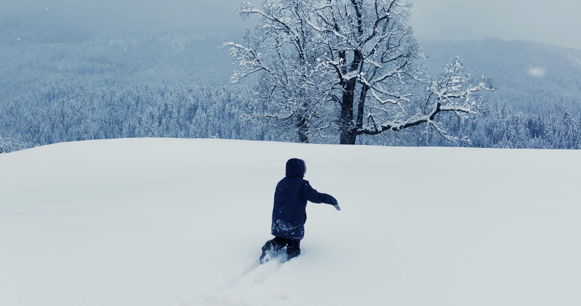 Lost Helpless Person Struggling In Winter Stock Footage SBV-347478798 ...