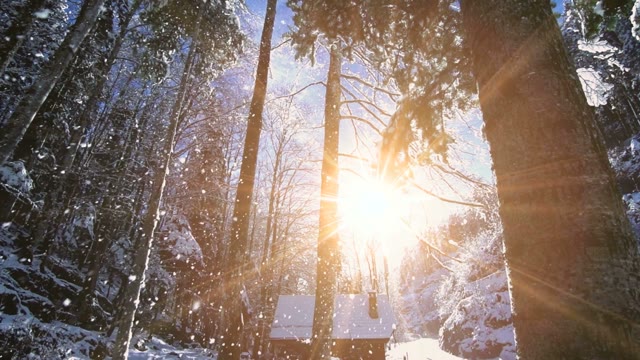 Winter Wonderland Stock Footage: Royalty-Free Video Clips - Storyblocks