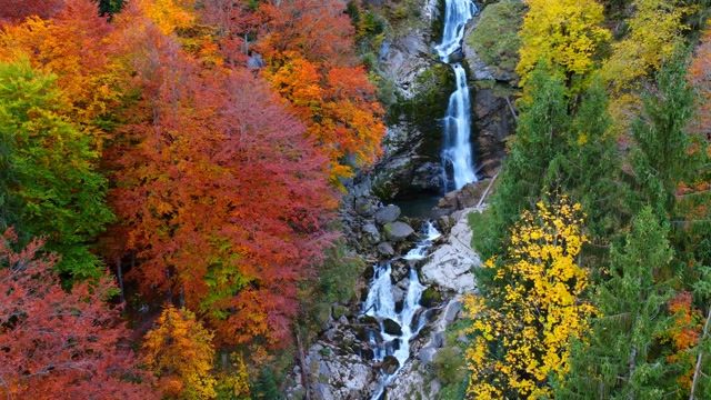 Autumn Leaves Waterfall Stock Footage: Royalty-Free Video Clips ...