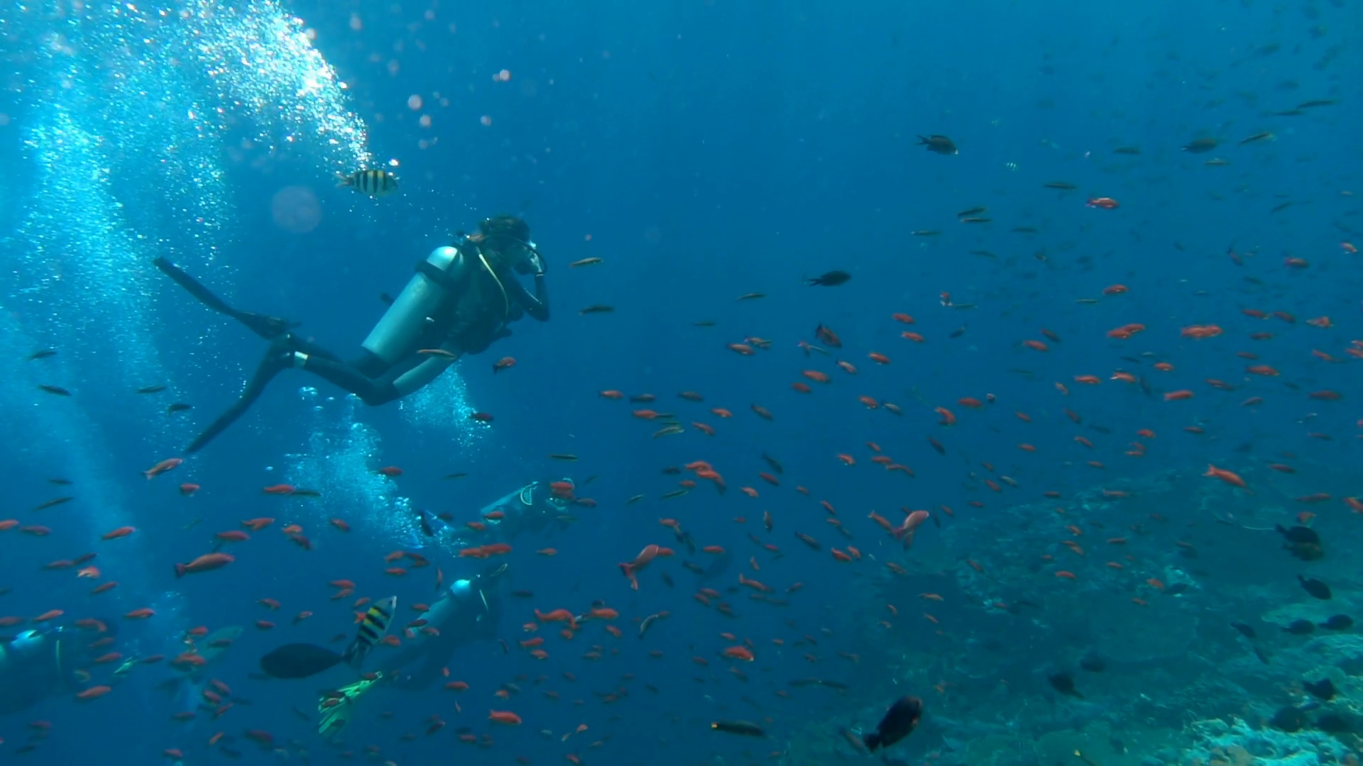 Man Scuba Diving Under Water Slow Motion Stock Footage SBV-317727069 ...