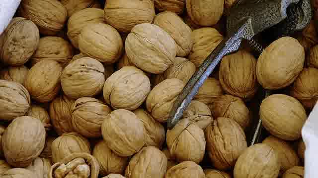 Background Zoom Nature Stock Footage: Royalty-Free Video Clips ...