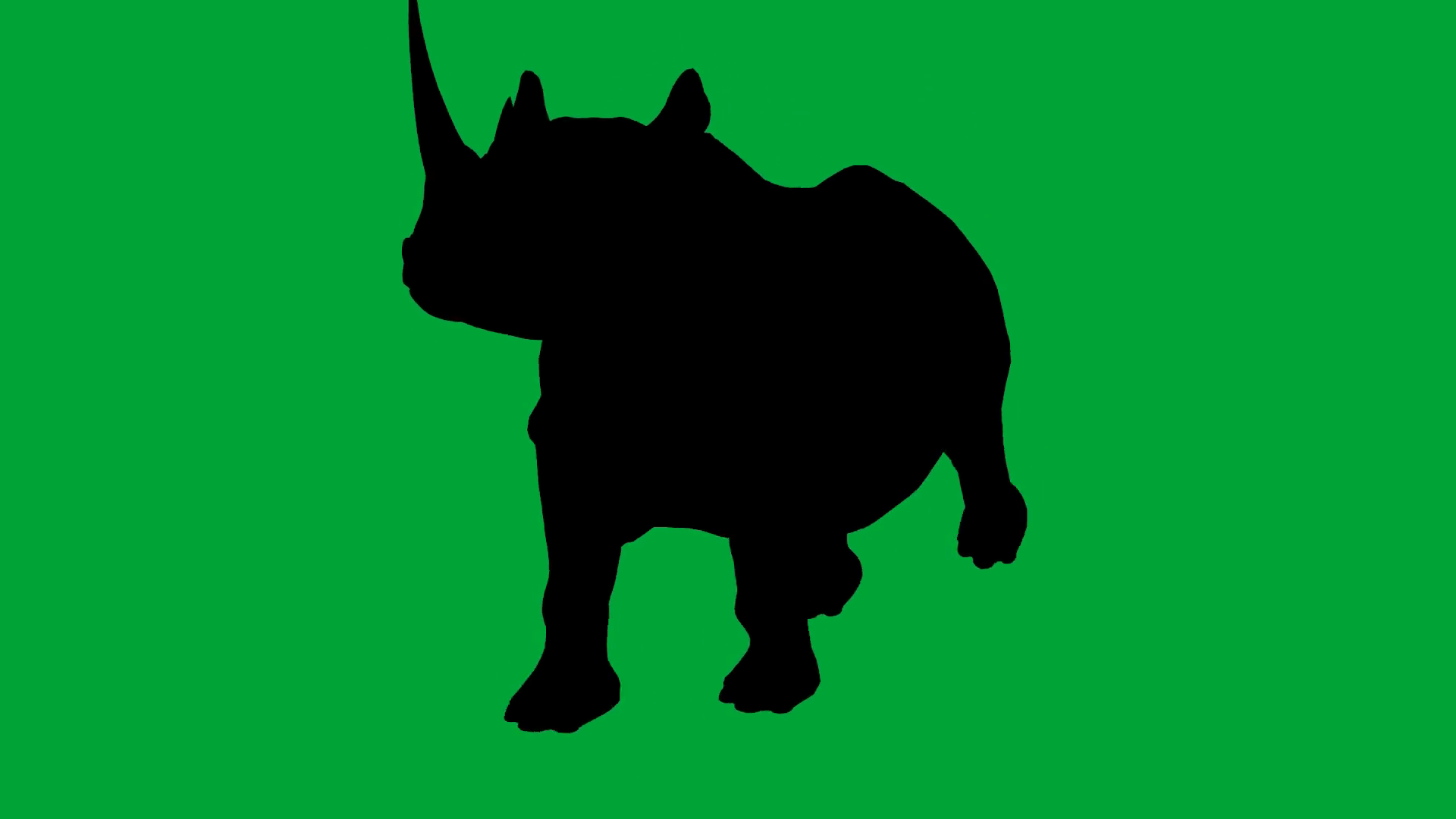 3d Animation Of Rhino Walks - Green Screen Stock Motion Graphics SBV ...