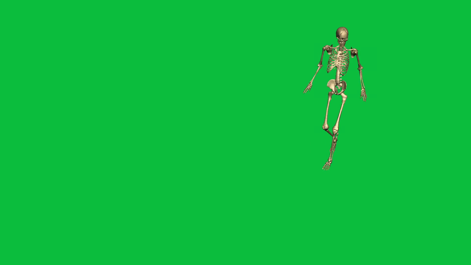 3d Animation Of Skeleton Jump Horizontal - Stock Motion Graphics SBV ...