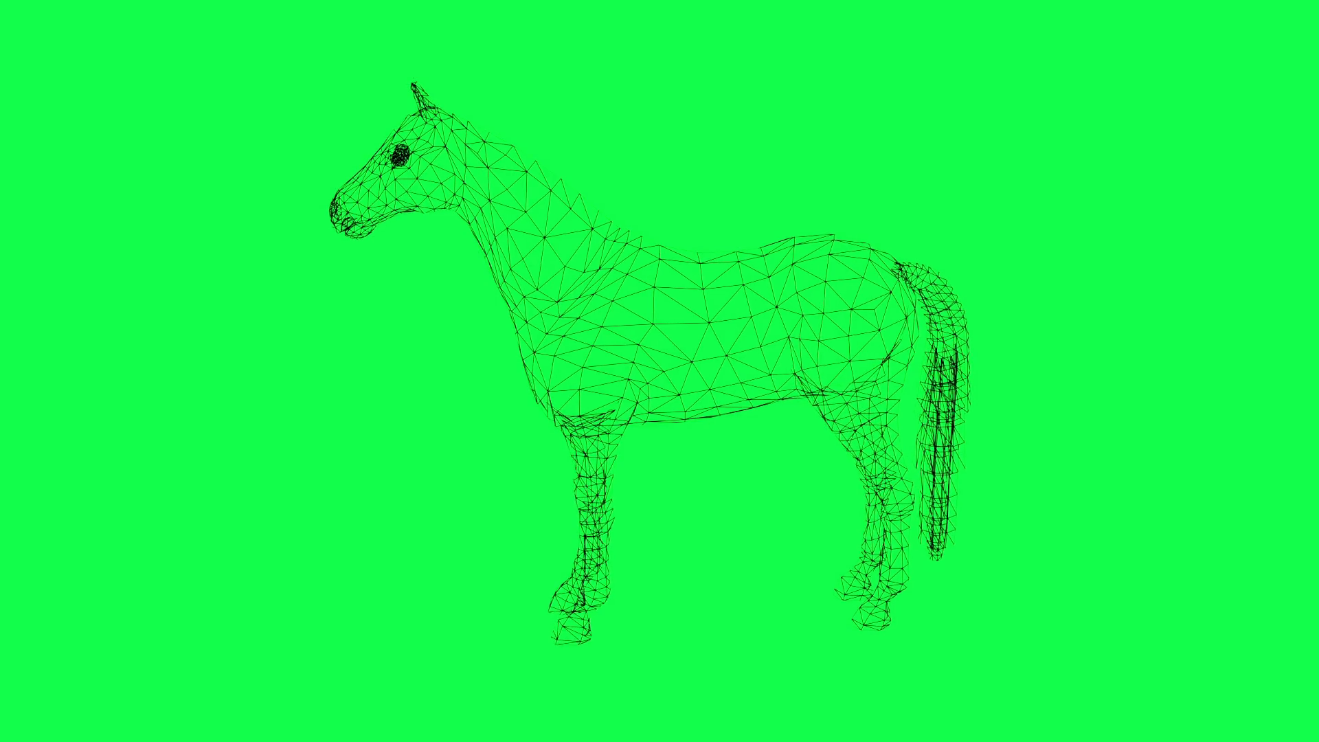 Rotation Of Wire Frame Isolated Horse On Stock Motion Graphics SBV ...