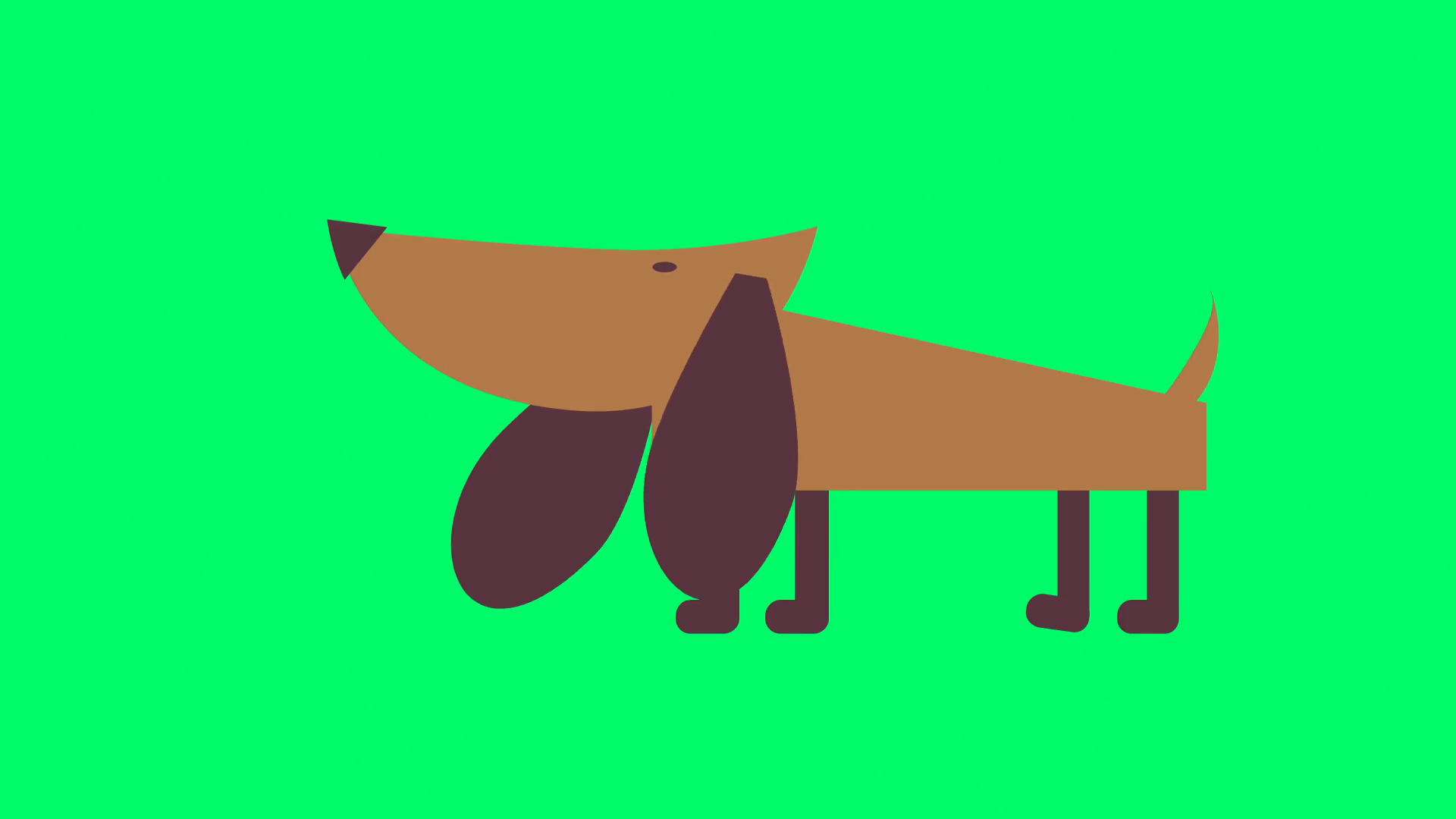 Sausage Dog Green Screen Cartoon Animation Stock Motion Graphics SBV ...