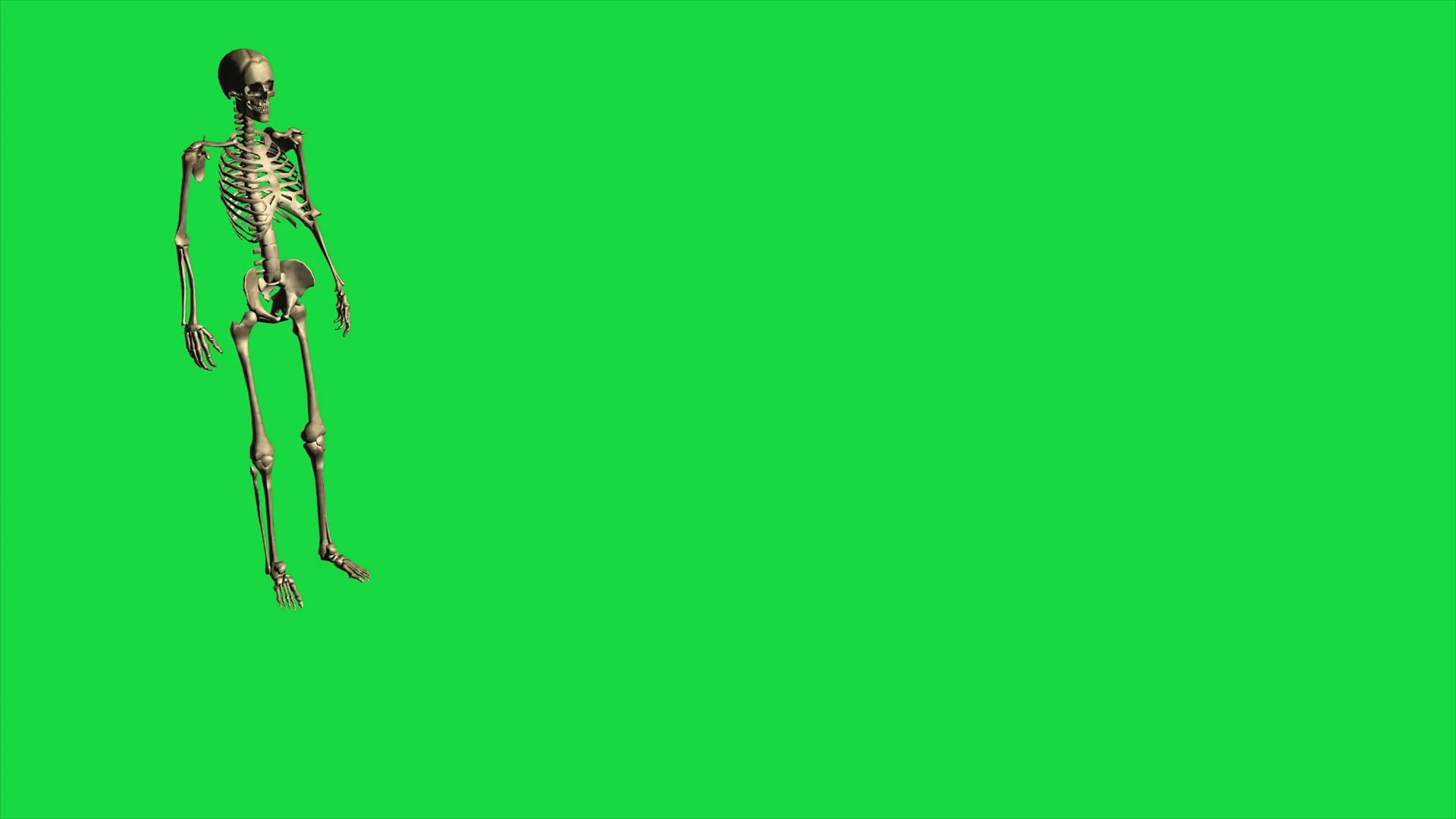 3d Animation Of Skeleton Throw Grenade - Stock Motion Graphics SBV ...