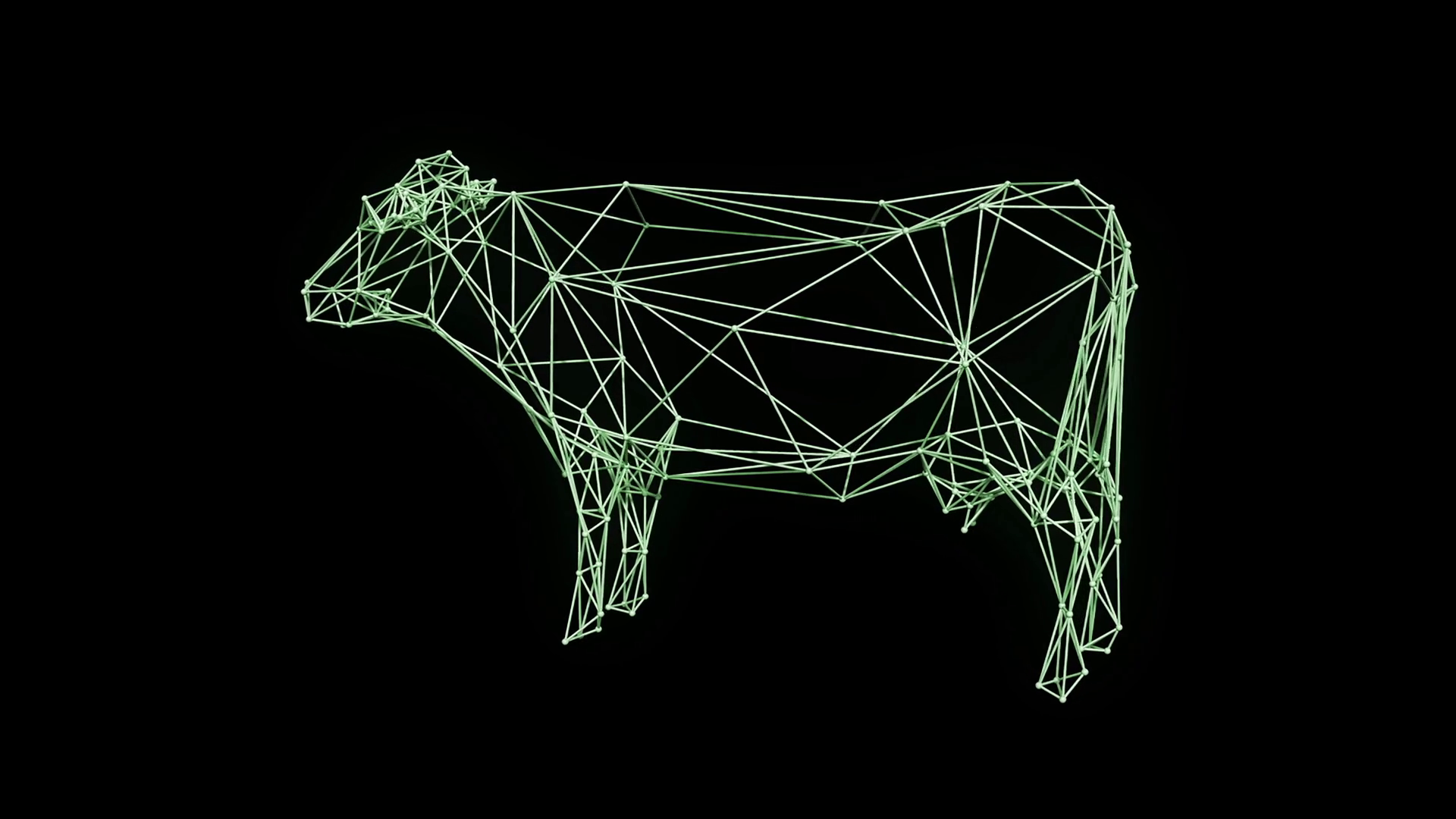 3d rendering - wire frame model of Isolated classic milk cow rotate ...